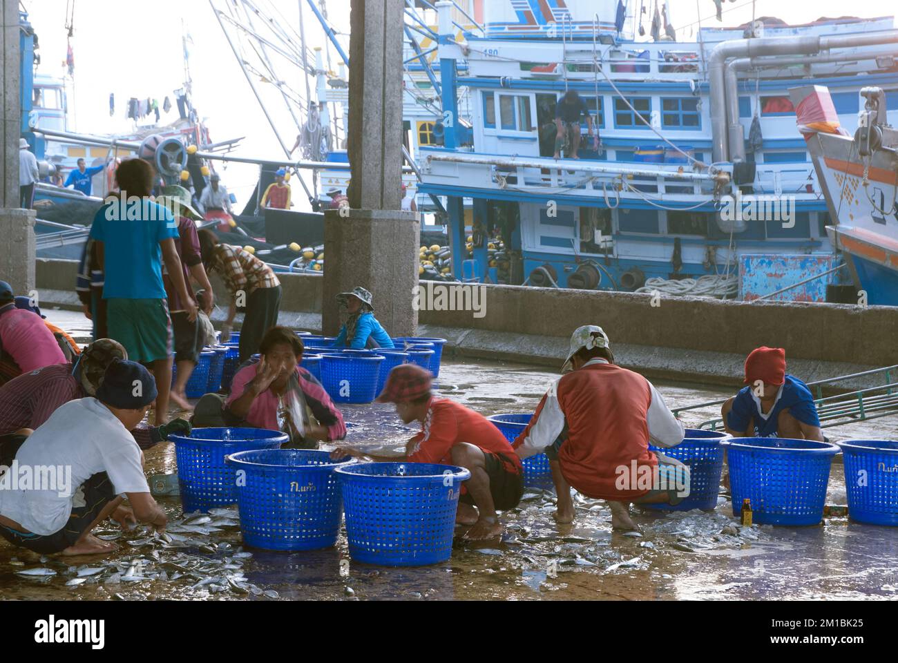 Talaythai seafood market, Trading center of fish and seafood products ...