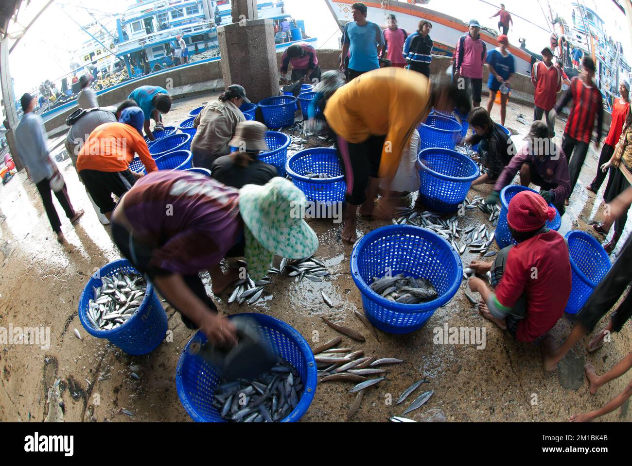Talaythai seafood market, Trading center of fish and seafood products ...
