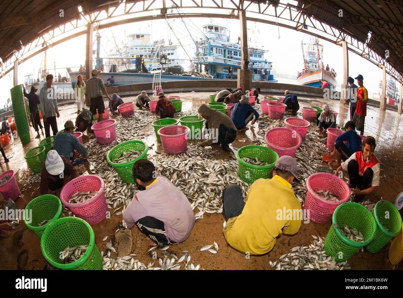 Talaythai seafood market, Trading center of fish and seafood products ...