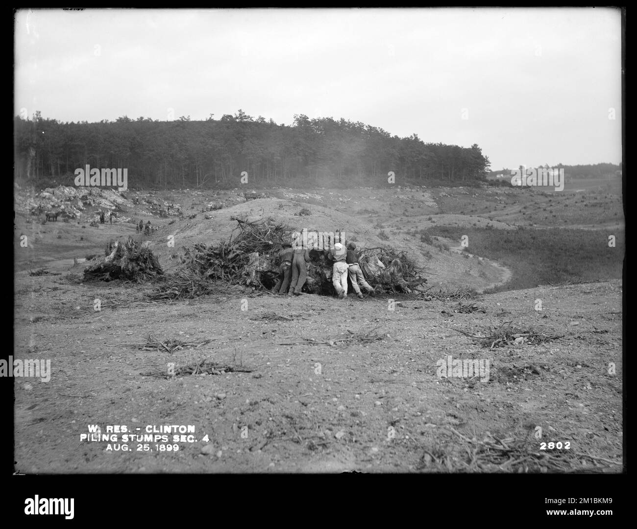Piling stumps hi-res stock photography and images - Alamy