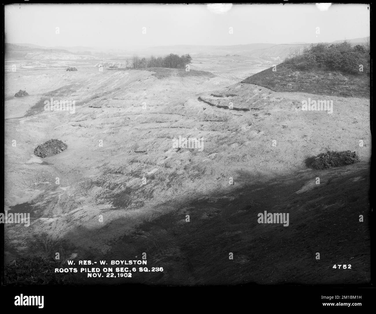 Wachusett Reservoir, roots piled on Section 6, square 236, West ...