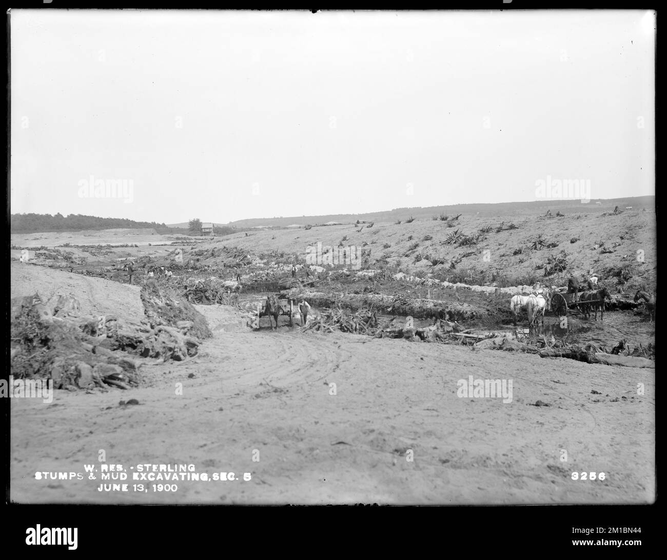 Wachusett Reservoir, stumps and muck excavation, Section 5, Sterling ...