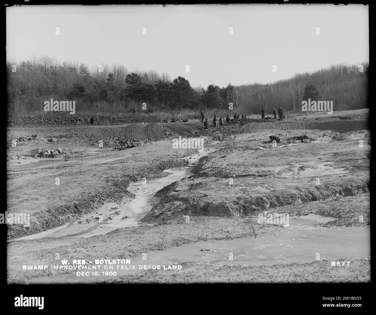 Wachusett Reservoir, Swamp improvement on Felix Defoe land, Boylston ...