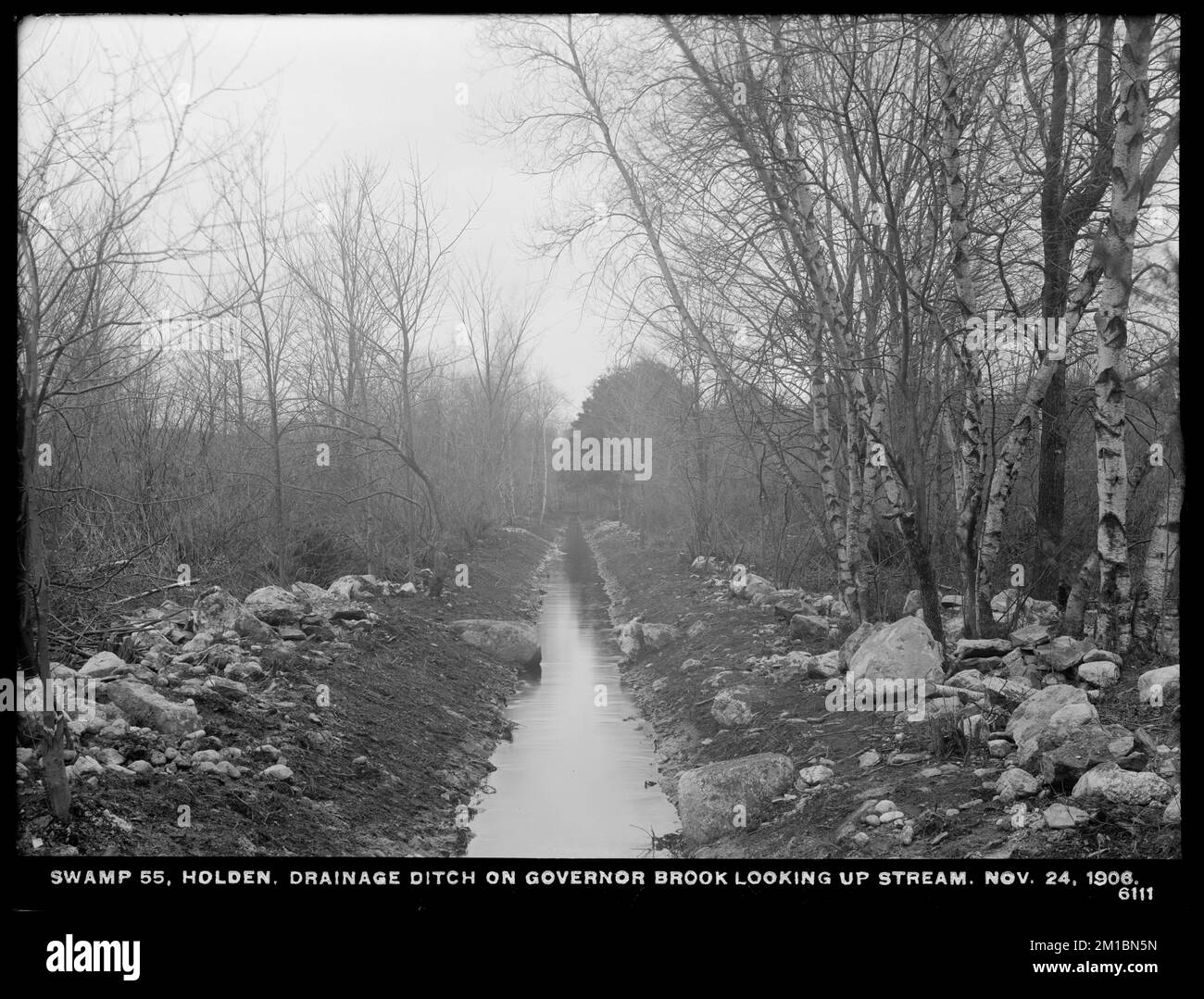 Wachusett Reservoir, Swamp No. 55, drainage ditch, on Governor Brook ...