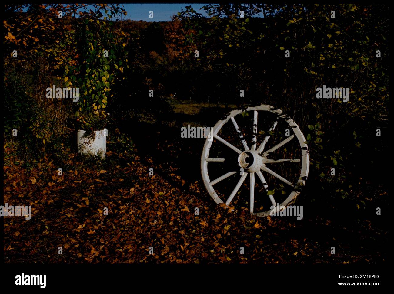 Wagon wheel and fall foliage , Autumn, Wheels. Edmund L. Mitchell ...