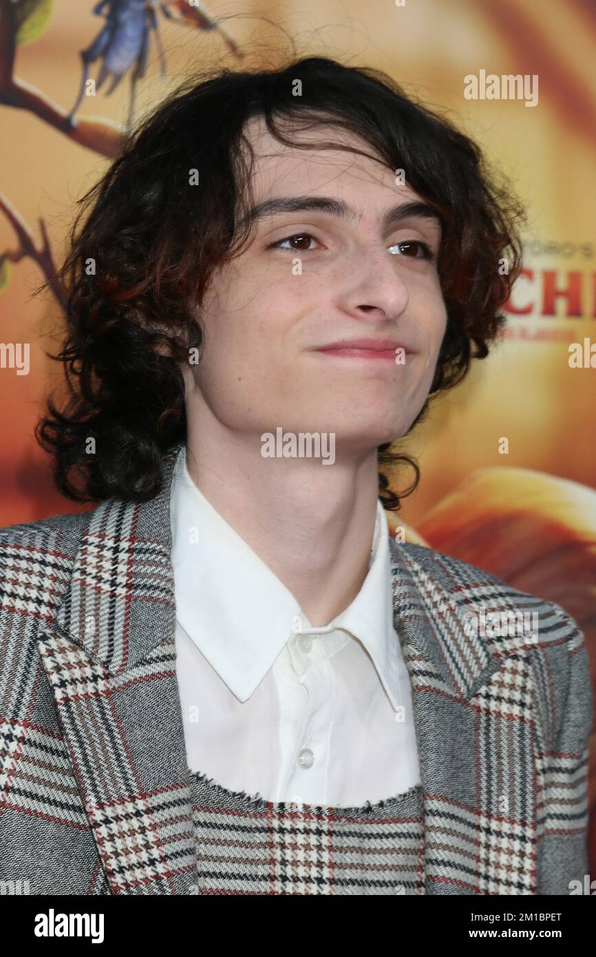 LOS ANGELES - NOV 5: Finn Wolfhard at the AFI Fest - "Guillermo del ...