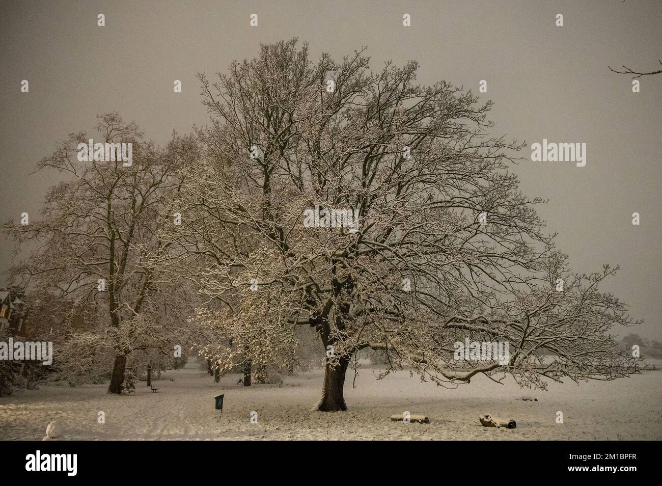 London, UK. 12th Dec, 2022. As temperatures fall below zero, Snow falls ...