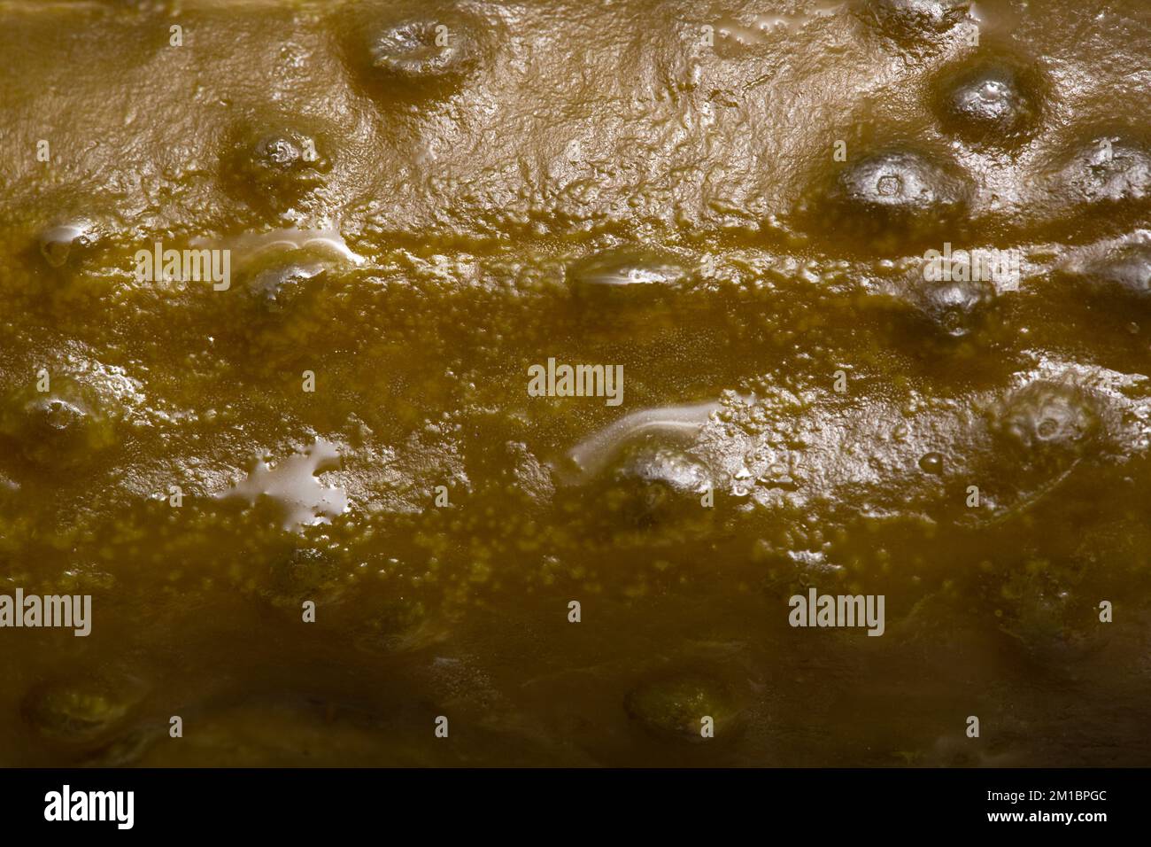 Photo of cucumber hi-res stock photography and images - Alamy