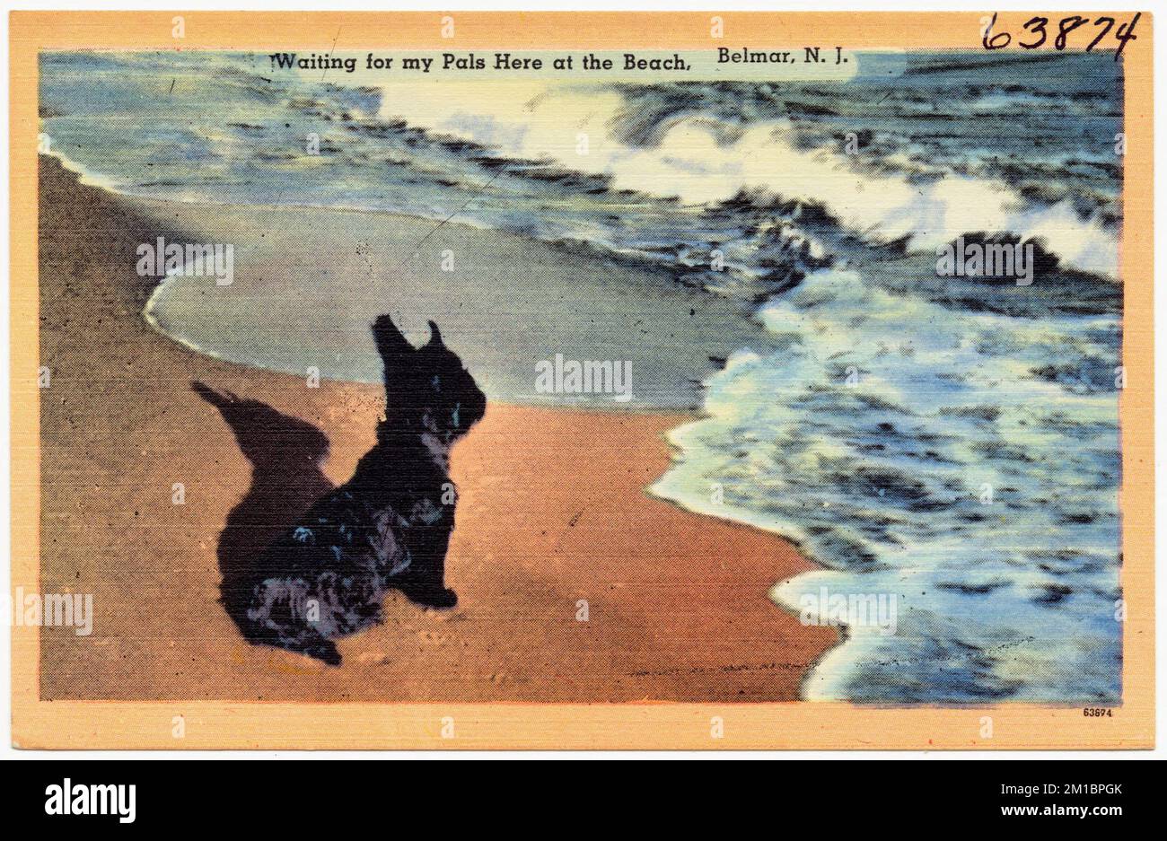 Waiting for my pals here at the beach, Belmar, N. J. , Beaches, Tichnor ...