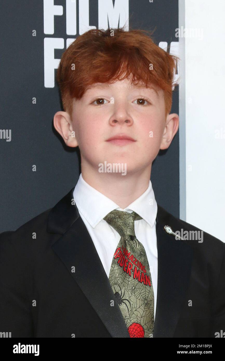 AFI Fest - "Guillermo del Toro's Pinocchio" Premiere at TCL Chinese ...