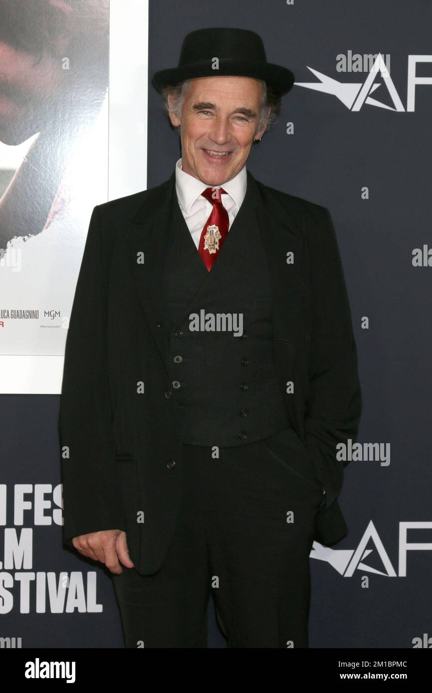 AFI Fest - Bones And All Special Screeningat TCL Chinese Theater IMAX ...