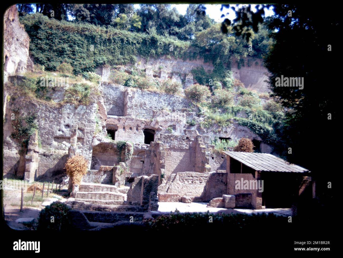 Wall of Palatine Hill, Rome, Italy , Archaeological sites. Edmund L ...