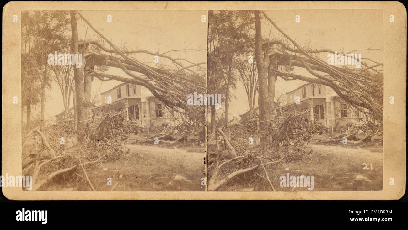 Wallingford tornado , Houses, Tornadoes, Trees Stock Photo - Alamy