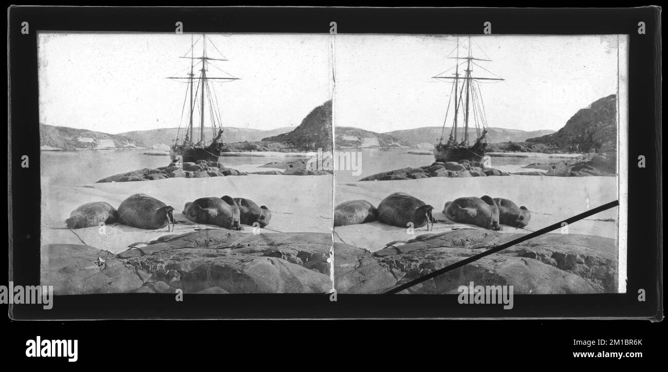 Rocks in glass Black and White Stock Photos & Images - Alamy