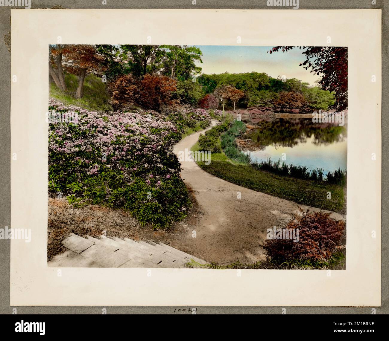 Ward's Pond , Trails & paths, Flowers, Lakes & ponds. Leon Abdalian ...