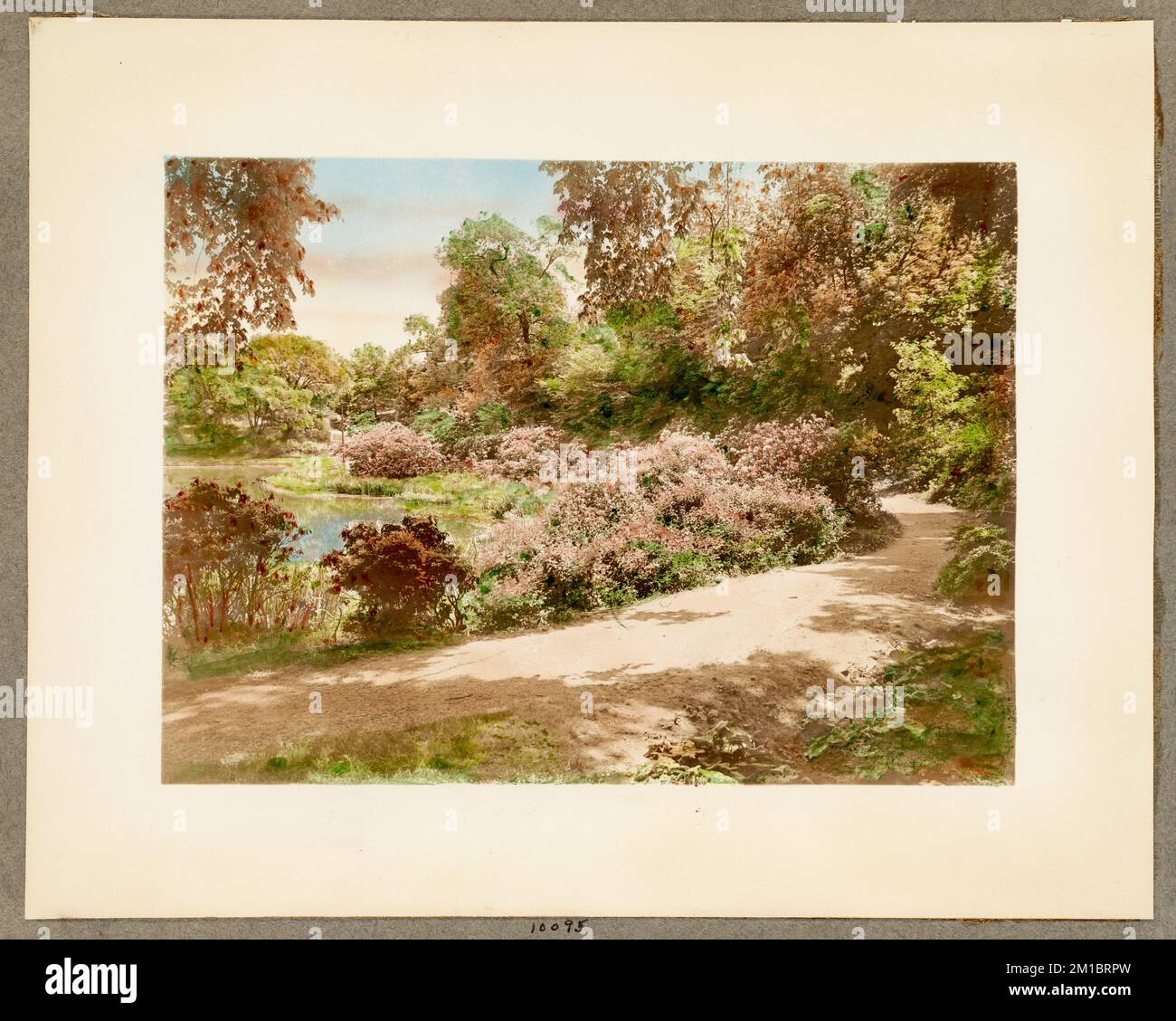 Ward's Pond from spring water rock , Trails & paths, Flowers, Lakes ...