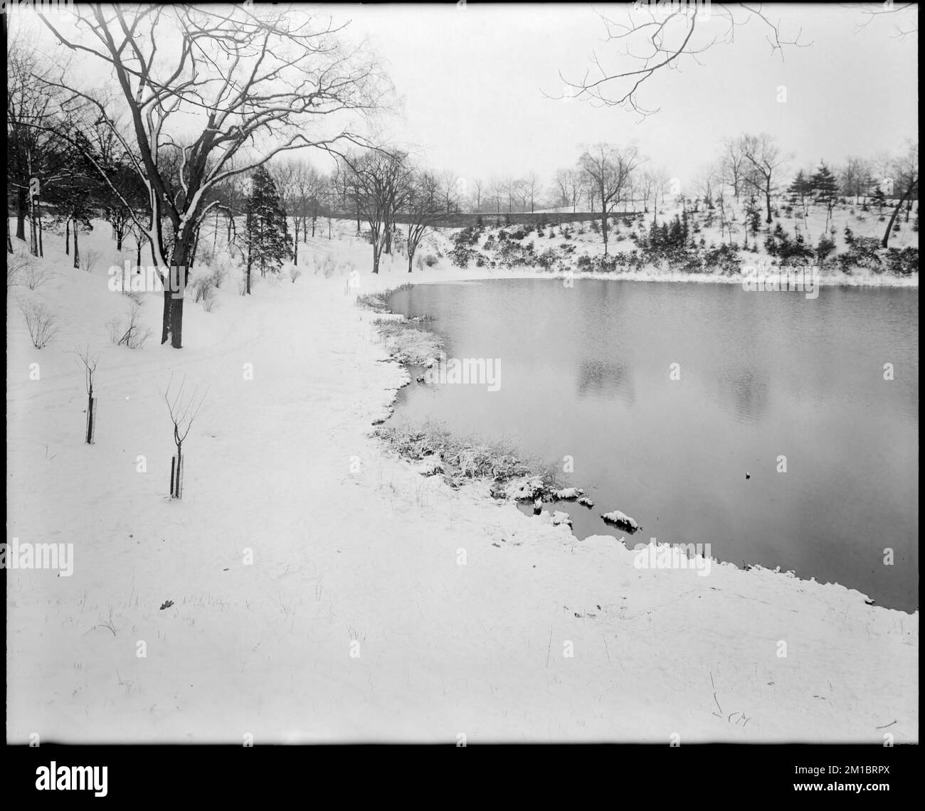 Ward's Pond in snow , Winter, Snow, Lakes & ponds. Leon Abdalian ...