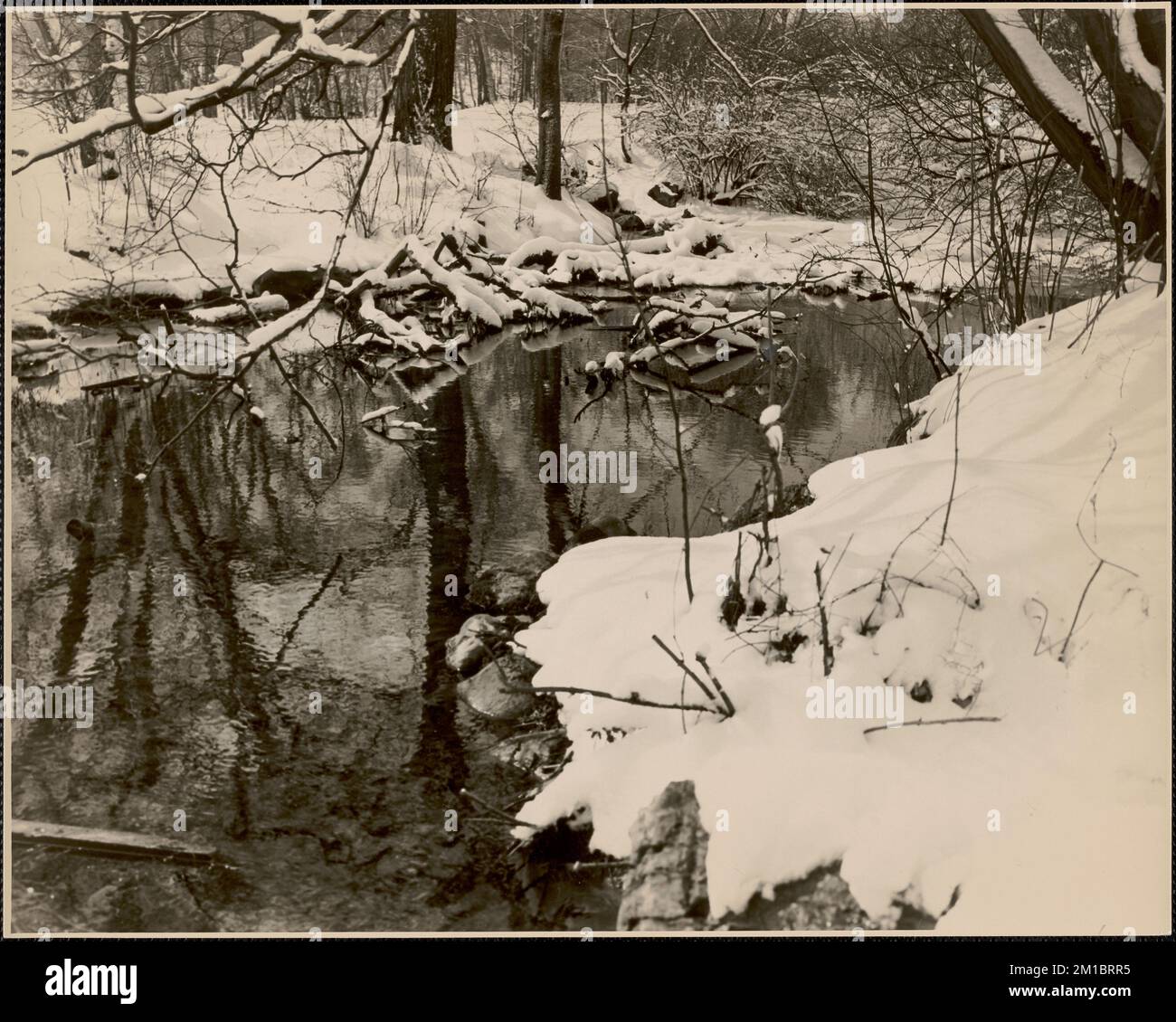 Ward's Pond and Ward's Brooks at Willow Spring Pond , Snow, Lakes ...