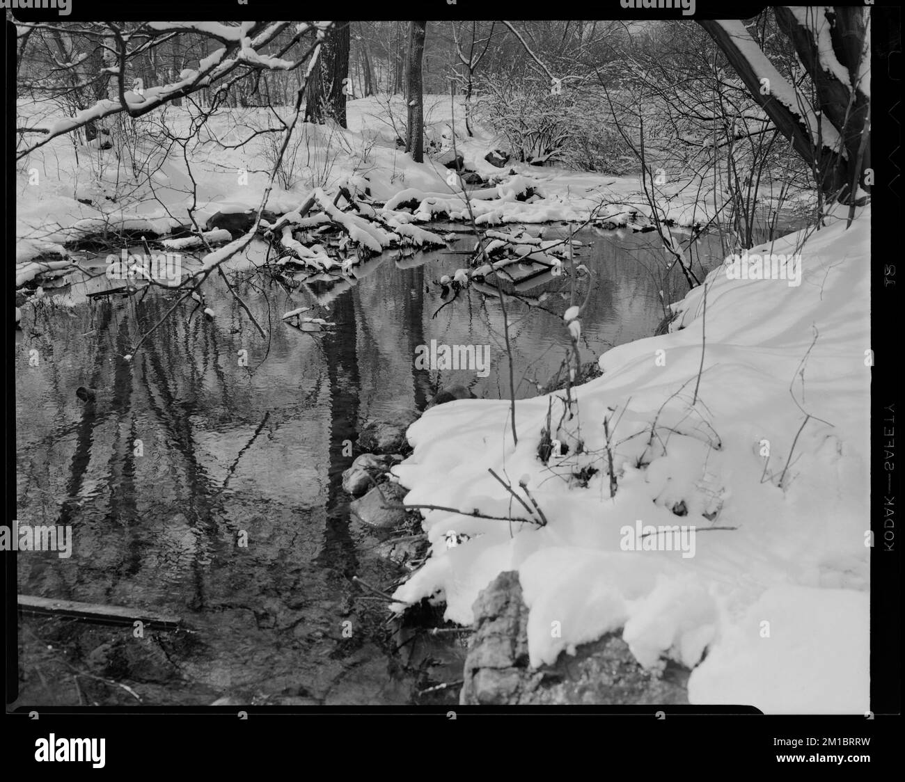 Ward's Pond and Ward's Brooks at Willow Spring Pond , Snow, Lakes ...