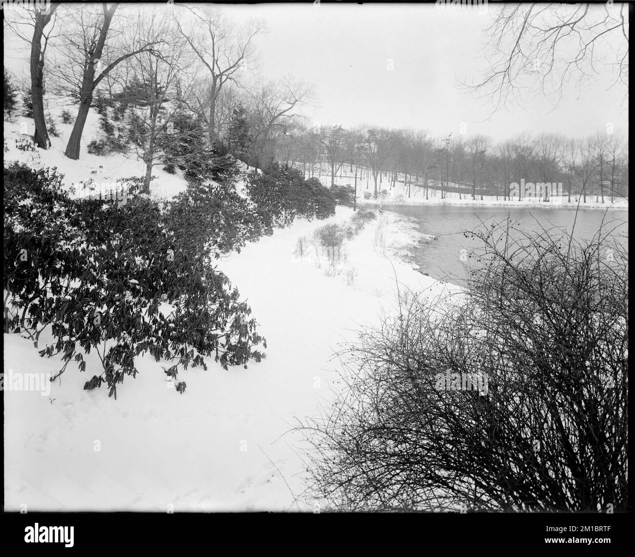 Ward's Pond in snow , Winter, Snow, Lakes & ponds. Leon Abdalian ...