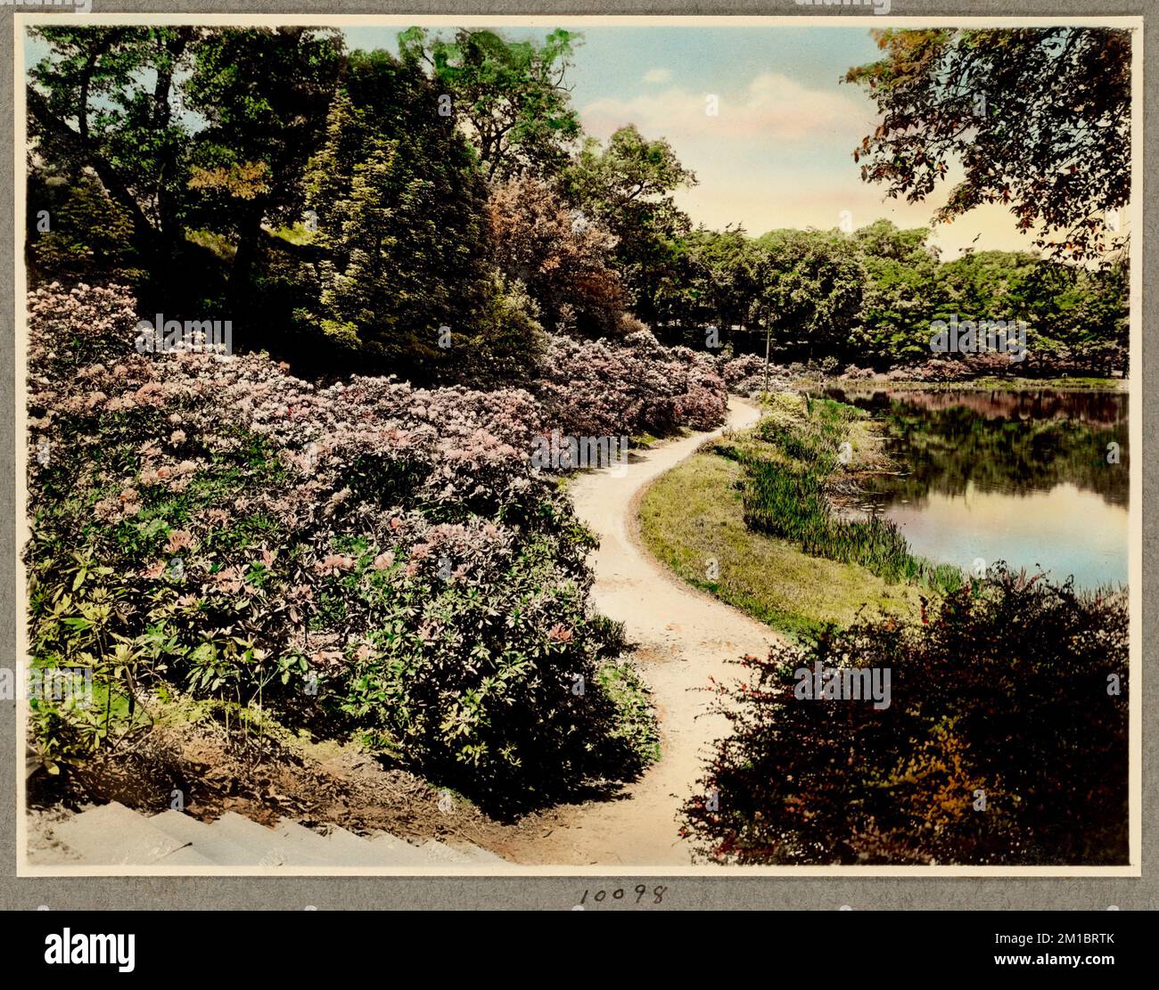 Ward's Pond, looking down from stairs , Lilacs, Trails & paths, Lakes ...