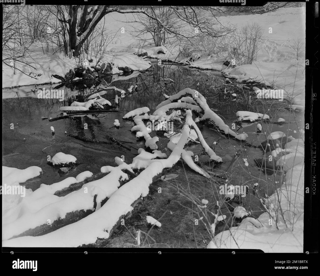 Ward's Pond and Ward's Brooks at Willow Spring Pond , Snow, Lakes ...