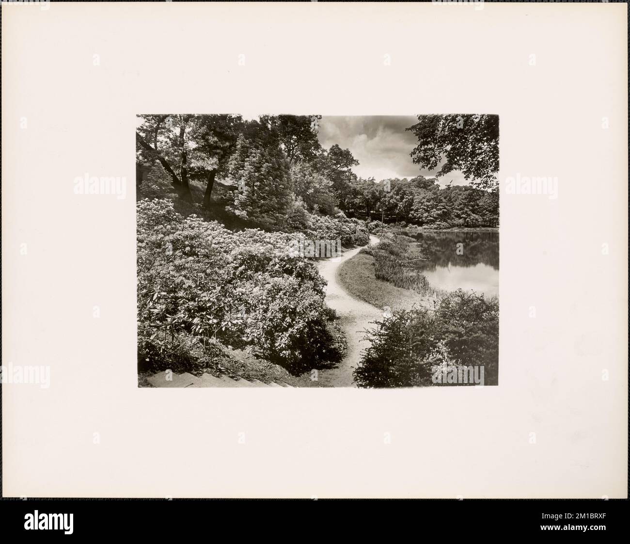 Ward's Pond, looking down from stairs , Lilacs, Trails & paths. Leon ...
