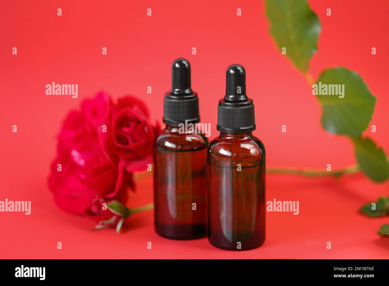 Organic rose oil in brown glass bottles set and red rose on red ...