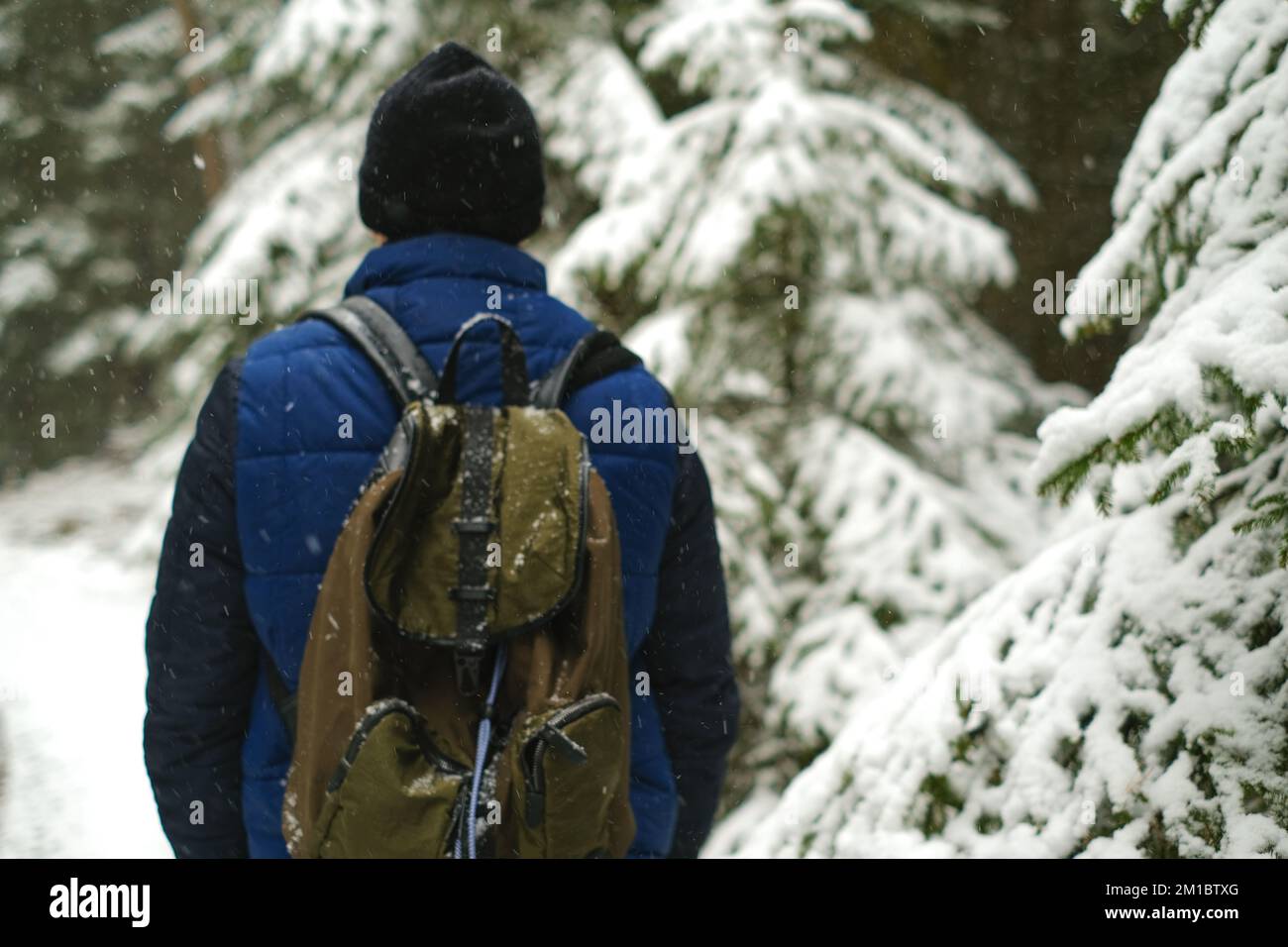 Traveler in winter snowy forest.travel and hiking in Winter season.man ...