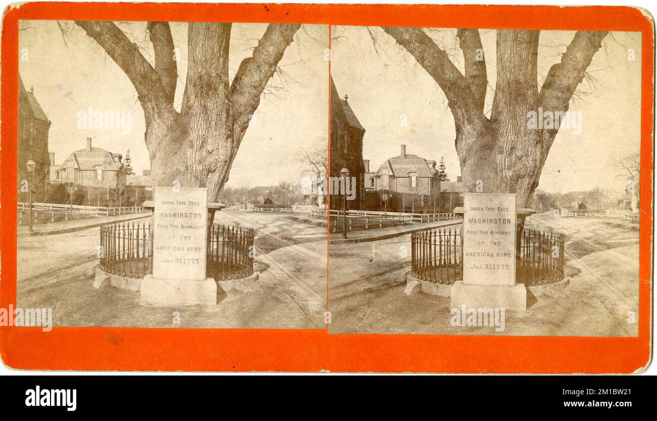 Washington elm dedication monument , Monuments, American elm Stock ...