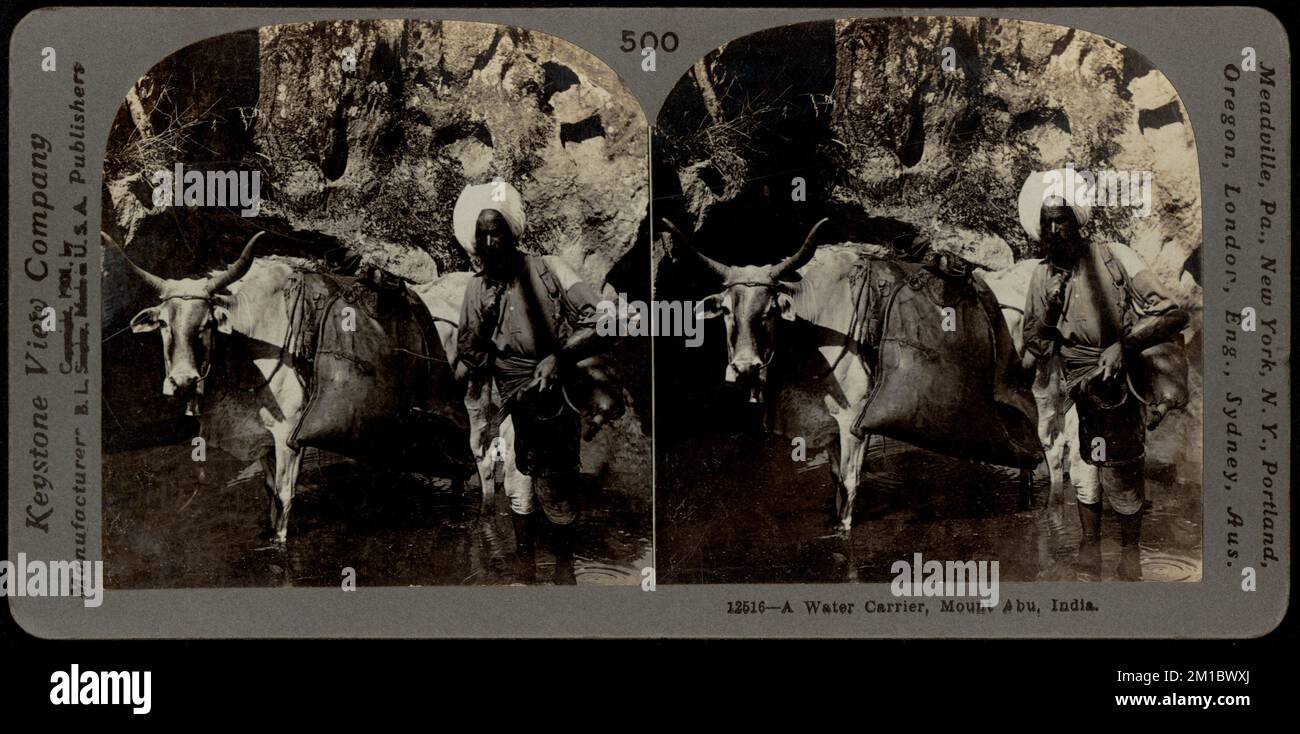 A water carrier, Mount Abu, India , Cattle, Pack animals, Water ...