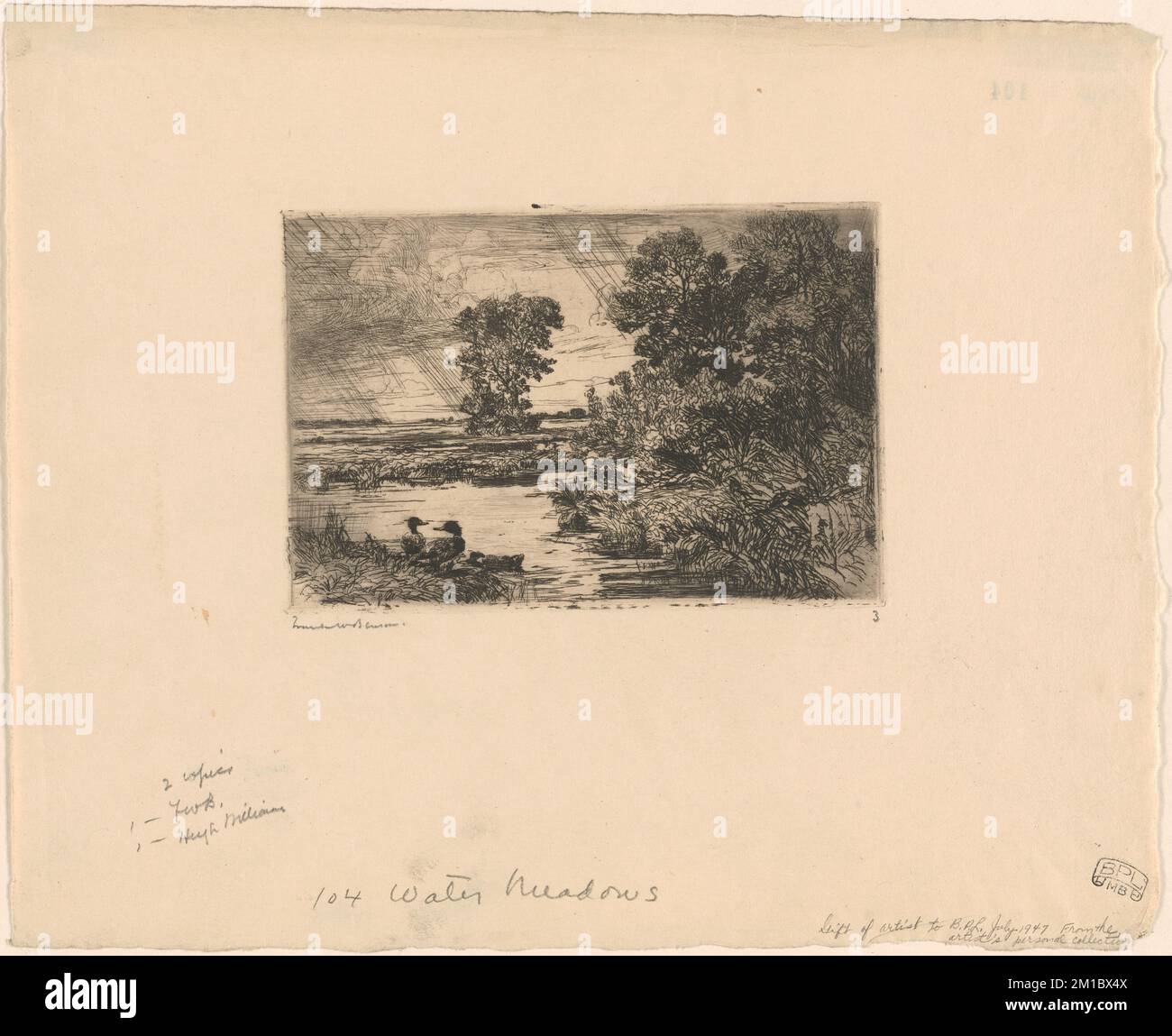 Water meadows , Ducks, Meadows, Bodies of water. Frank W. Benson (1862 ...