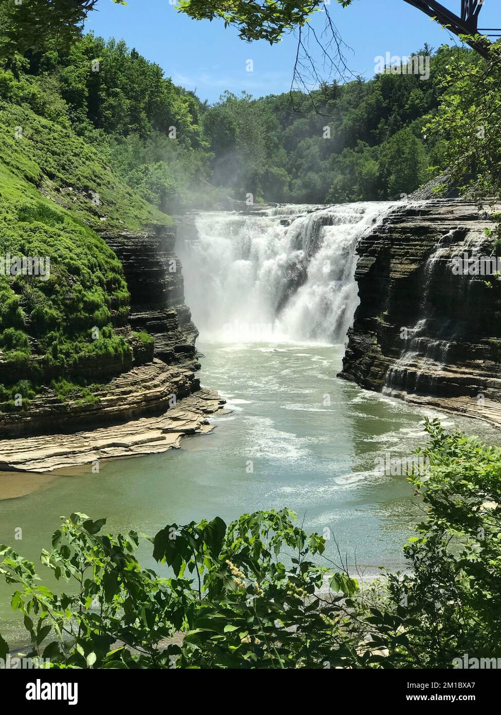 A vertical shot of Waterfall and river surrounded by greenery in ...