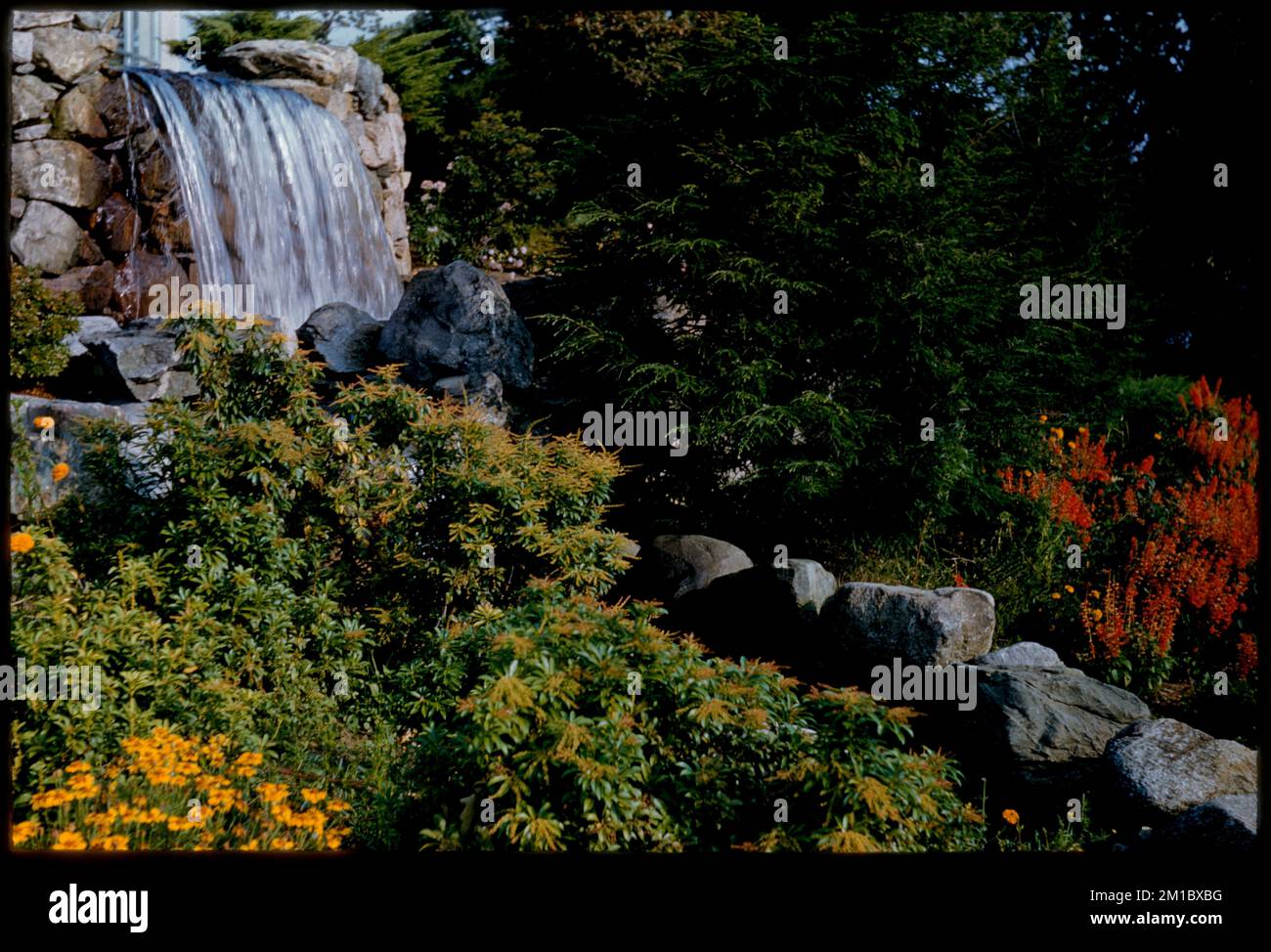 Waterfall & flowers, Carling's , Waterfalls. Edmund L. Mitchell ...