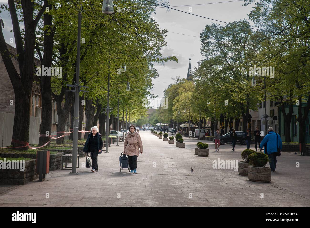Picture of a group of two senior persons in Indjija, Serbia, carrying ...