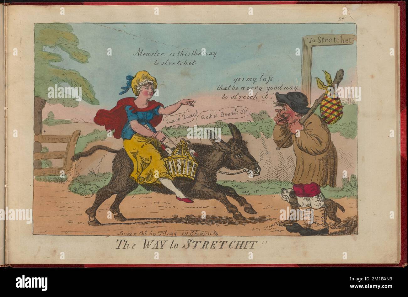 The way to stretchit!! , Donkeys, Riding, Chickens, Ducks, Baskets ...