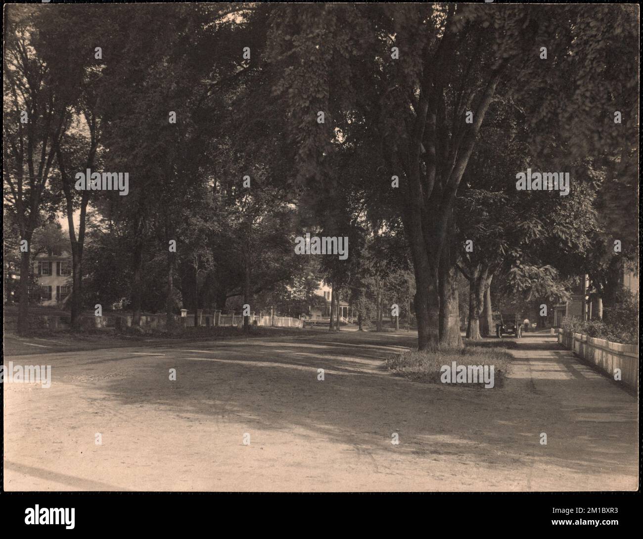 Wayland village street , Roads, Trees. Wayland Free Public Library Cage ...