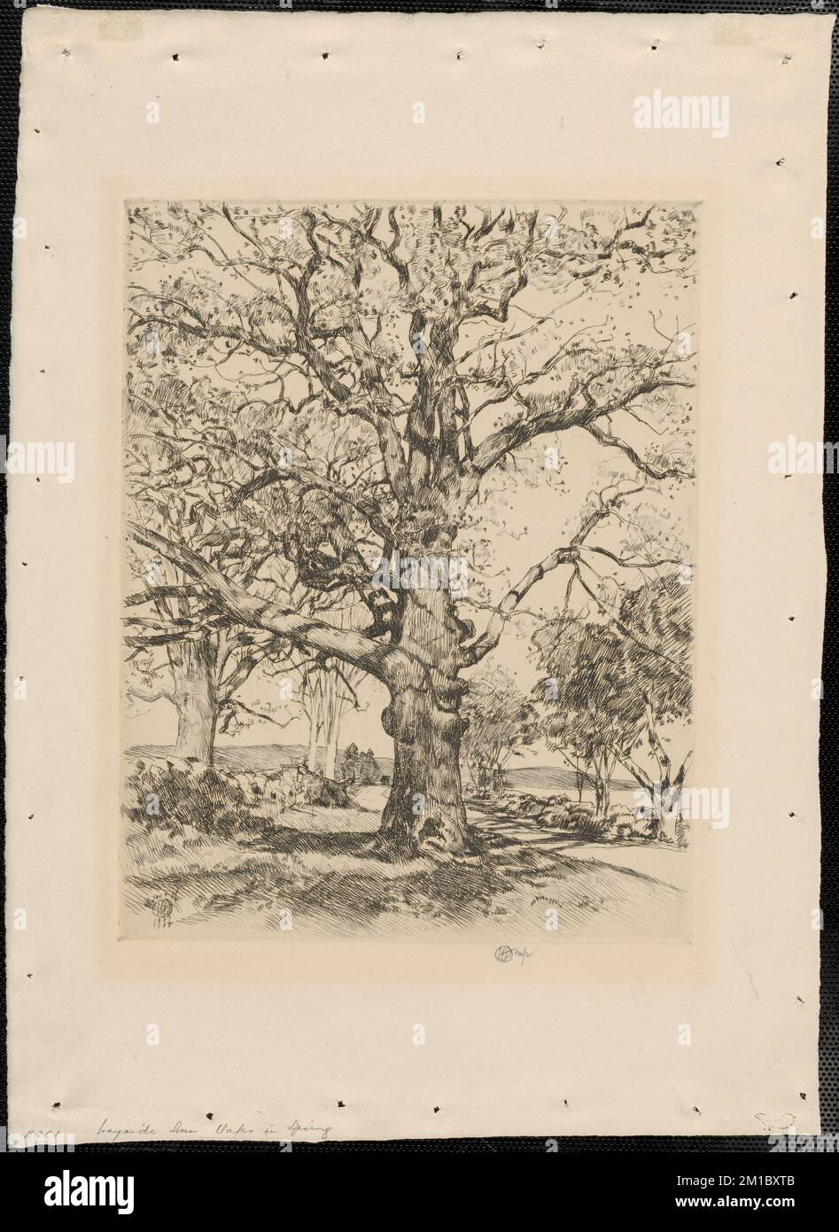 Wayside Inn--oaks in spring , Oaks. Childe Hassam (1859-1935). Prints ...