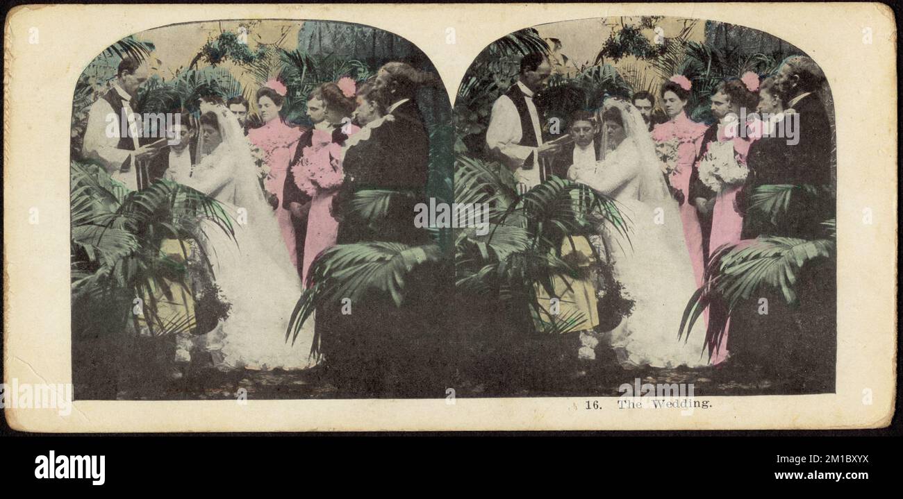 The wedding , Brides, Wedding clothing & dress, Weddings, Grooms ...