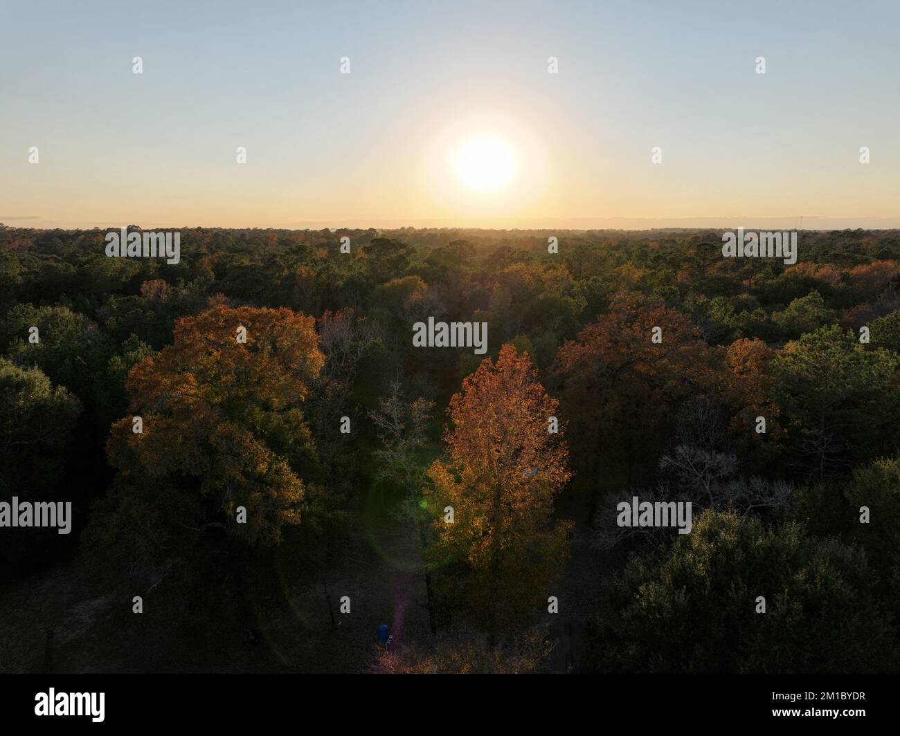 Texas sunset over forrest Stock Photo - Alamy