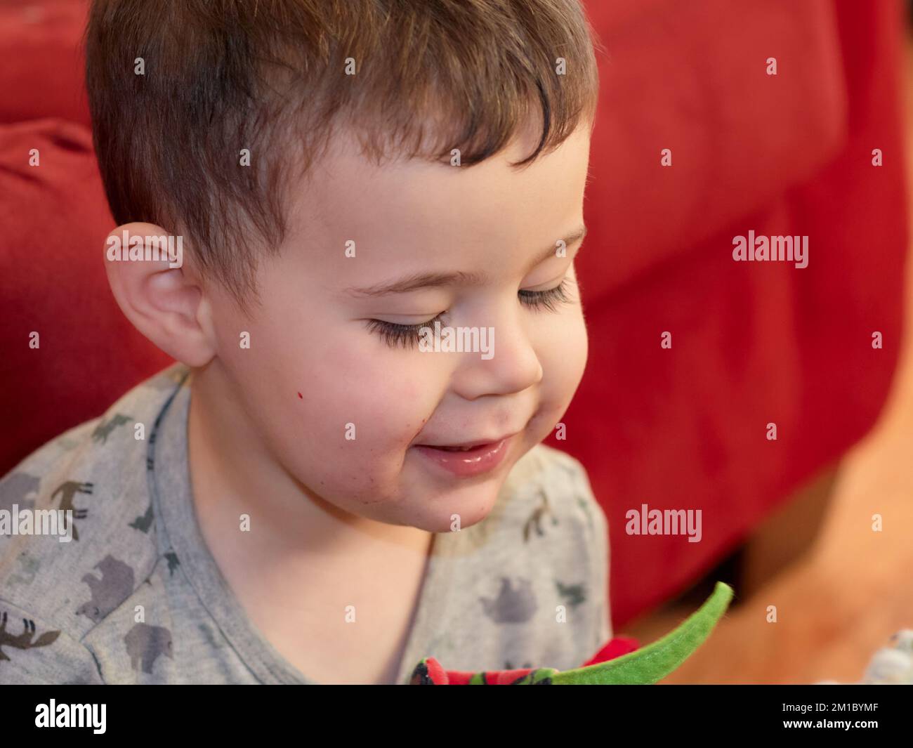portrait of an expressive young boy at home Stock Photo - Alamy