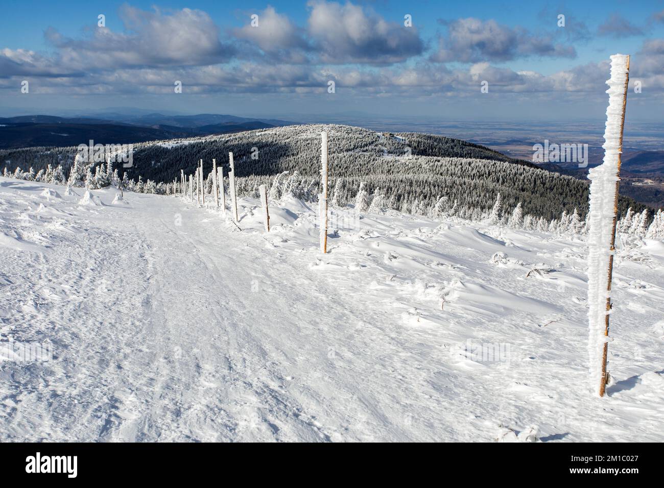 beautiful wintry view of snowy forest on mountains, Jeseniky mountains ...