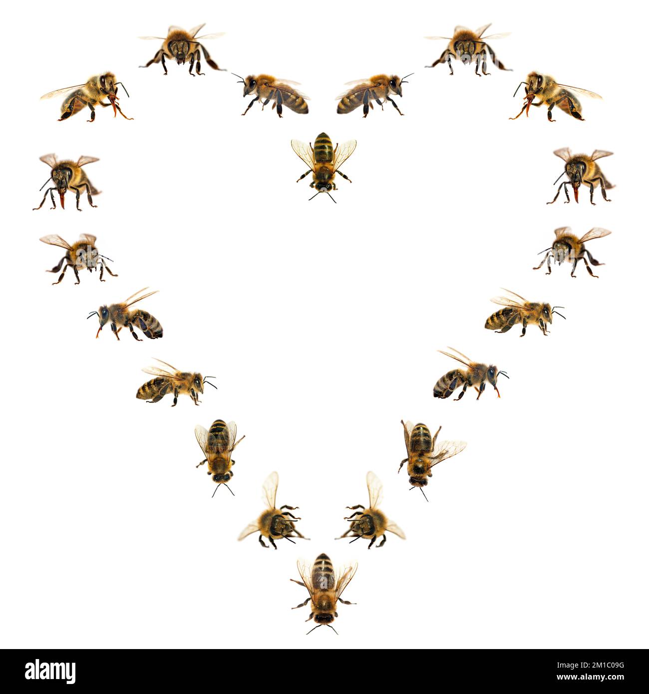 Honeybee symbol hi-res stock photography and images - Alamy
