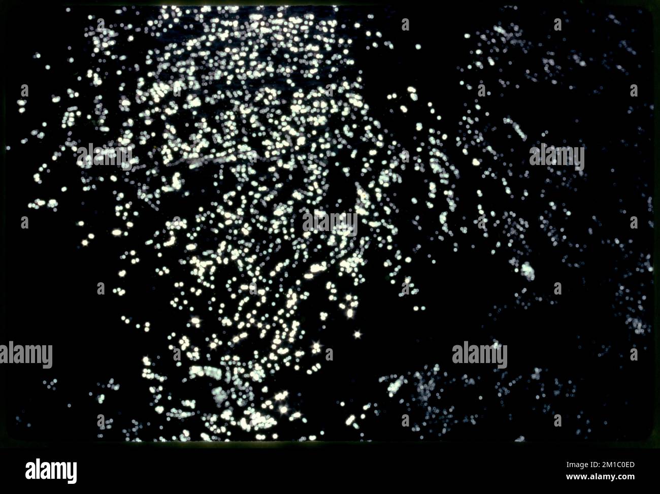 Westerly from bridge at Bridge St. , Rivers. Photographs by Ernst ...