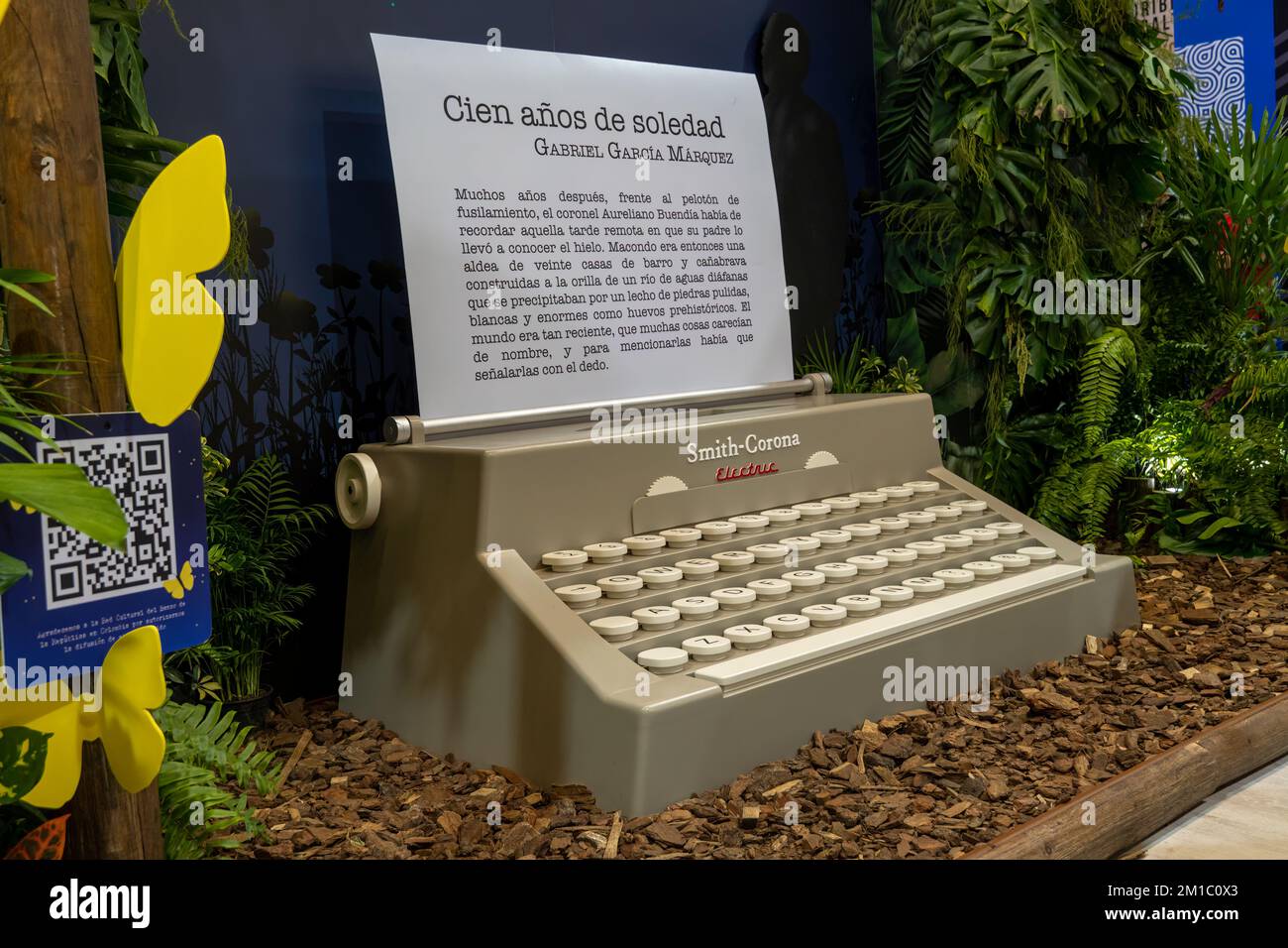 giant typewriter on wood shavings, vegetation in the background mexico ...