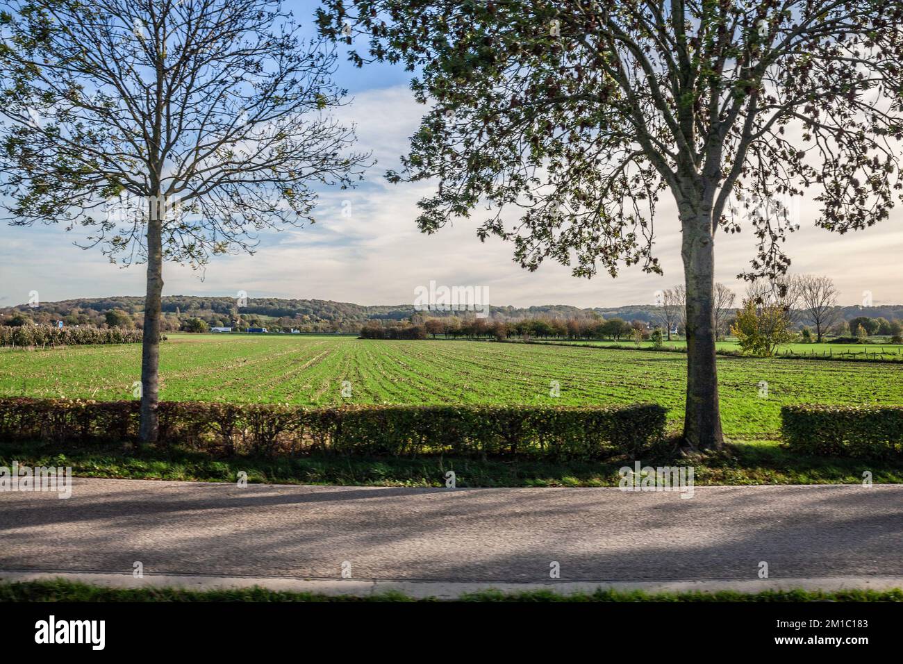 Picture of a limburg landscape in the countryside, with a typical ...