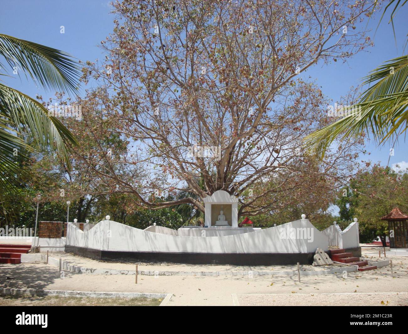 The Dambakola Patuna is an ancient port located in northern Jaffna with ...