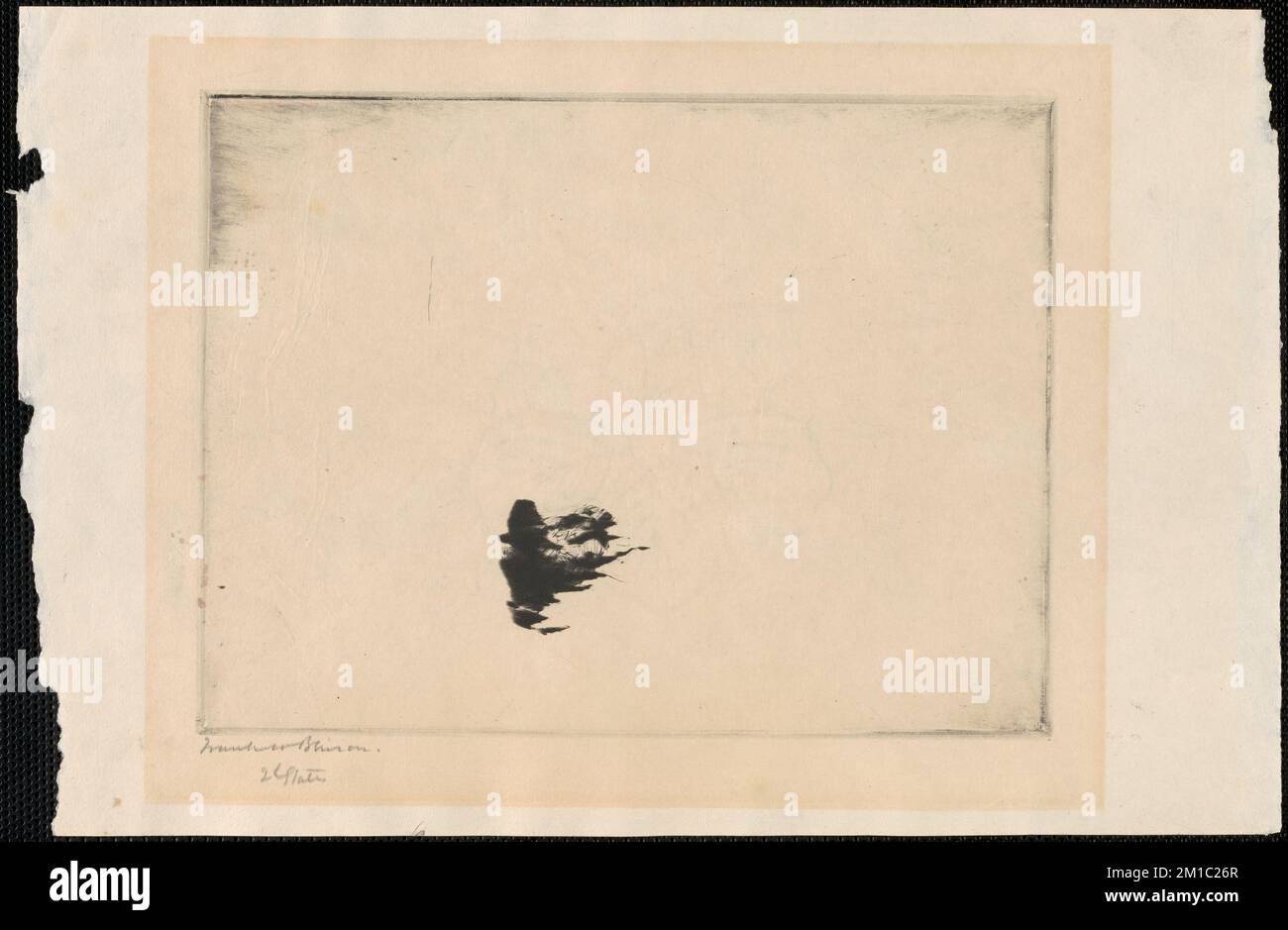 Whistlers , Ducks, Black-bellied whistling-duck. Frank W. Benson (1862 ...