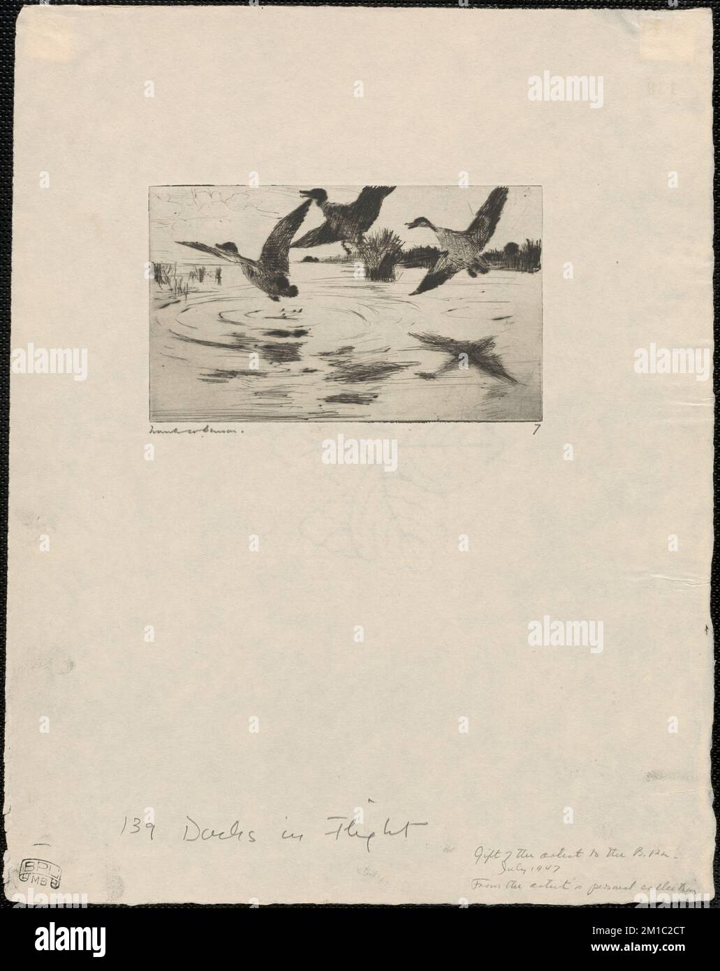 White ducks in flight , Ducks, Flying, Bodies of water. Frank W. Benson ...
