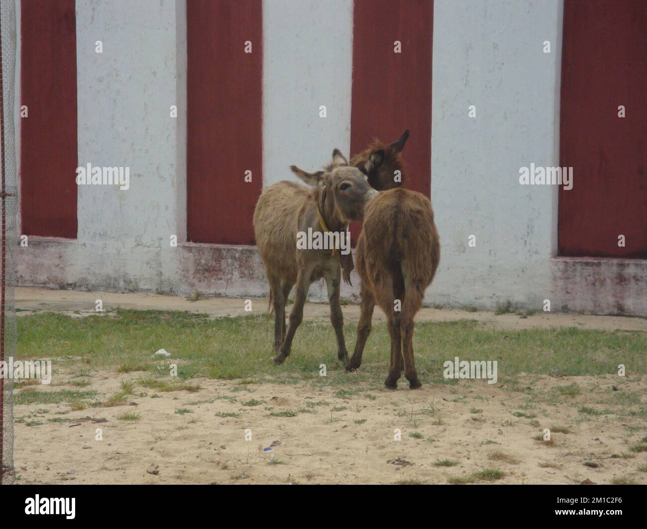 Places to visit in Jaffna, Sri Lanka Stock Photo - Alamy